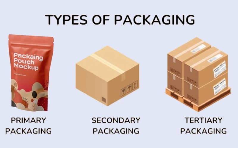 Types of Packaging: Complete Guide for Every Product